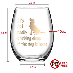 Dog Lover Gifts for Women Stemless Wine Glass, It's Not Really Drinking Alone if the Dog is Home Wine Glass Funny Birthday Gift for Dog Mom Dog Owner Friends Mother Daughter, 15 Oz