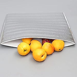 prettDliJUN 20Pcs Thermal Keep Cold/Hot Lunch Bag Food Pouch, Aluminum Foil Insulation Disposable Food Delivery Container