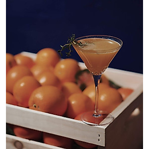 Luigi Bormioli Roma 7.5 oz. Martini Stem, Set of 4