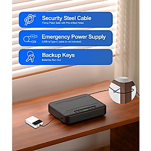 PINEWORLD Biometric Gun Safe, Smart Handgun Safe, 4-Quick Access Pistols Safe With Fingerprint/Key/Passcode/APP For Belongings, Gun Lock Box For Nightstand, Car, Home with Light/Full Voice Prompt