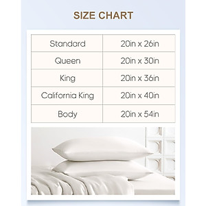 THXSILK 100% Silk Pillowcase for Hair and Skin, Both Sides Grade 6A+ 22 Momme Mulberry Silk Pillow Case with Hidden Zipper, Soft & Smooth White Pillowcase(1pc, Queen Size 20"x30")