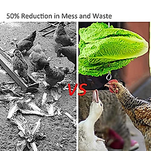 Chicken Vegetable Hanging Feeder Toy for Hens Pet Chicken Veggies Skewer Fruit Holder for Hens Large Bird