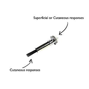EMI Platinum Series Tromner Neurological Deluxe Reflex Hammer