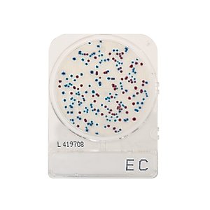 CompactDry EC (E. coli and coliforms) for Colony Counting, AOAC Approved 110402, 240 Plates/Pack, by Hardy Diagnostics