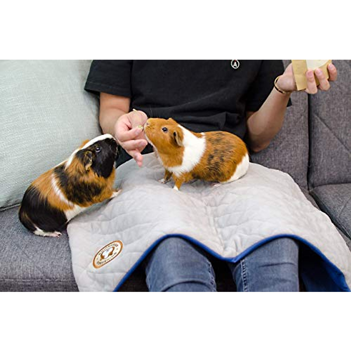 GuineaDad Liner | Guinea Pig Fleece Cage Liners | Guinea Pig Bedding | Extra Absorbent Bamboo | Waterproof Bottom (C&C 2x1, Grey)