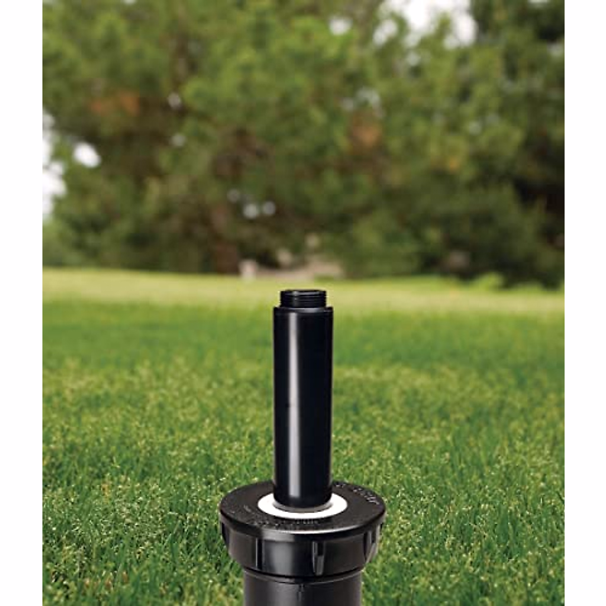 Rain Bird 1804LNPRS Pressure Regulating (PRS) Professional Pop-Up Sprinkler, Body Only No Nozzle, 4" Pop-up Height