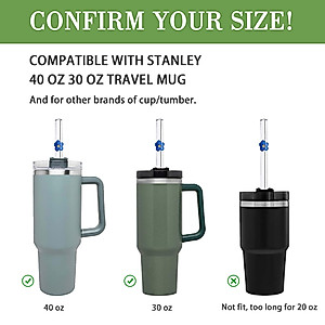 DUMING-IN 6 Pack Replacement Glass Straws for Stanley 40 oz 30 oz Tumbler, Cute Flower Glass Straws with Charms, Stanley Straw with Cleaning Brush Stanley Cup Accessories