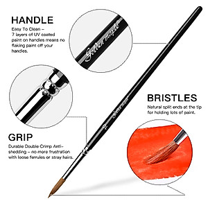 Watercolor Brushes Professional Set, 10 Artist Brushes Watercolor Paint Brushes, Golden Maple Sable Brush Paint Brushes-Round Tip, Flats, Dagger, Oval Wash for Detail Painting, Water Color, Gouache
