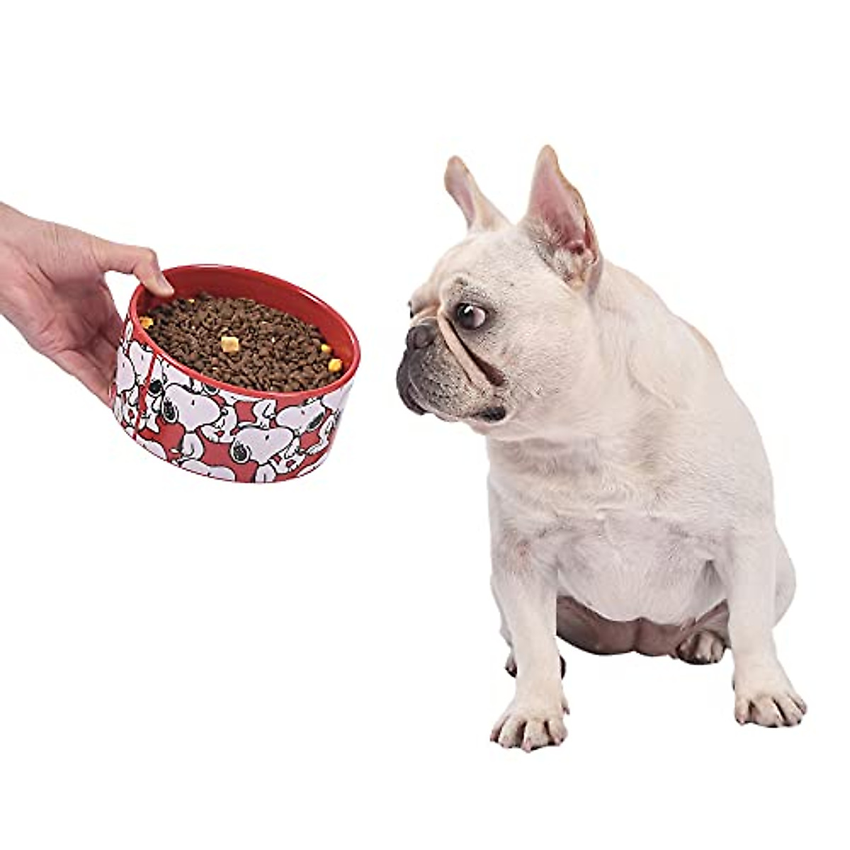 Fetch for Pets Peanuts Orange Snoopy Ceramic Dog Bowl, 3.5 Cups, Medium