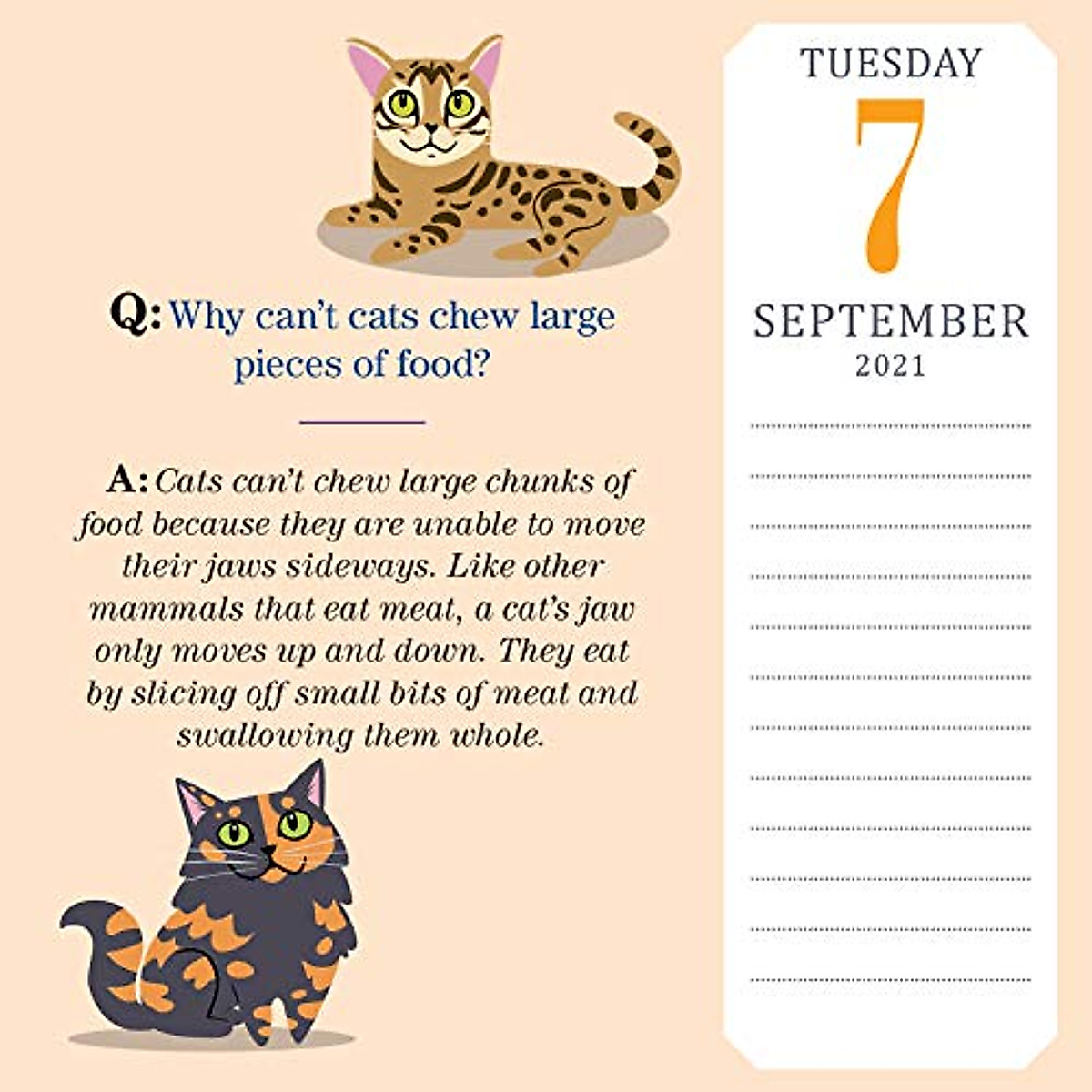 A Year of Cat Trivia Page-A-Day Calendar 2021