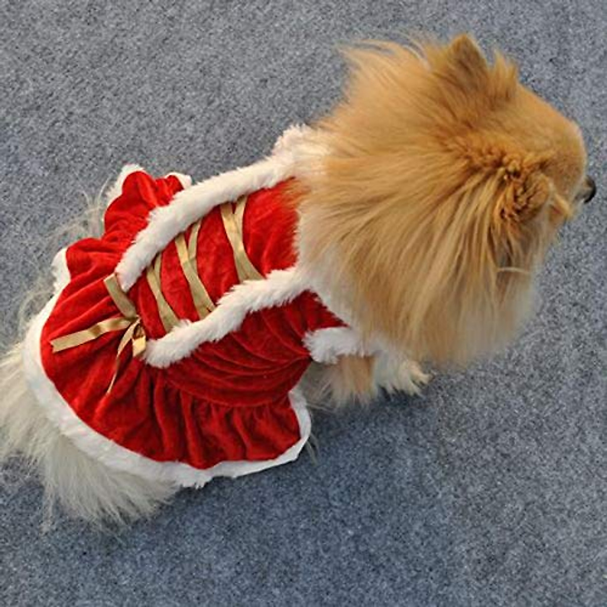 HonpraD Dog Clothes for Small Dogs Summer Apparel Clothing Doggy Design Costumes Santa Christmas Pet Small Female Dog Dress