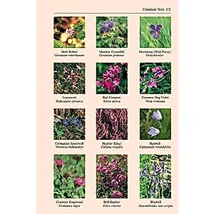 Hadrian's Wall Path: 64 Large-Scale Walking Maps & Guides to 29 Towns & Villages - Planning, Places to Stay, Places to Eat