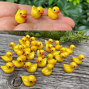 AWEELON 100 Pcs Mini Resin Ducks Tiny Ducks Miniature Duck Figures for Slime Charms DIY Craft Micro Landscape Garden Aquarium Dollhouse Decoration for Christmas Birthday Party