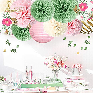 NICROLANDEE 12PCS Green Pink Blooms Tissue Pom Poms Paper Lantern 3D Gold Confetti 50G for Garden Birthday, Fairy Party, Butterfly Baby Shower, Wedding, Holiday, Easte Party, Spring Decor