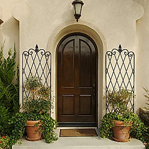 Amagabeli 2 Pack Garden Trellis for Climbing Plants 60" x 18" Rustproof Black Iron Potted Vines Vegetables Vining Flowers Patio Metal Wire Lattices Grid Panels for Ivy Roses Cucumbers Clematis GT04