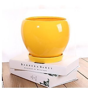 Ceramic Home/Garden Modern Flower Planter Pot with Saucer/Tray - Classic Round Apple Ball Shape Yellow Color