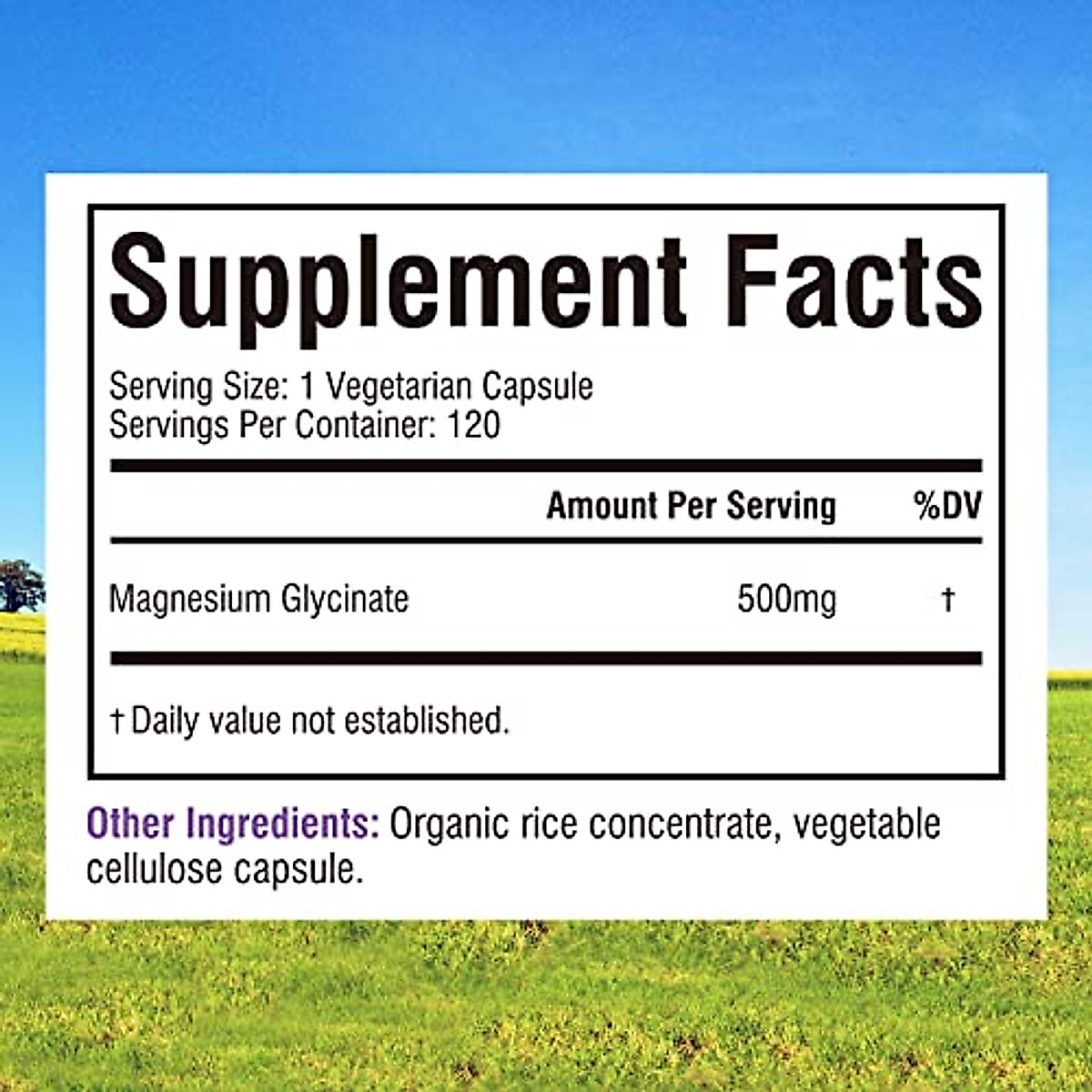 Magnesium Glycinate 500mg per Caps, 120 Veggie Caps, Chelated for Maximum Absorption, Non-GMO, NO Gluten Dairy & Soy, Supports Muscle, Joint, and Heart Health