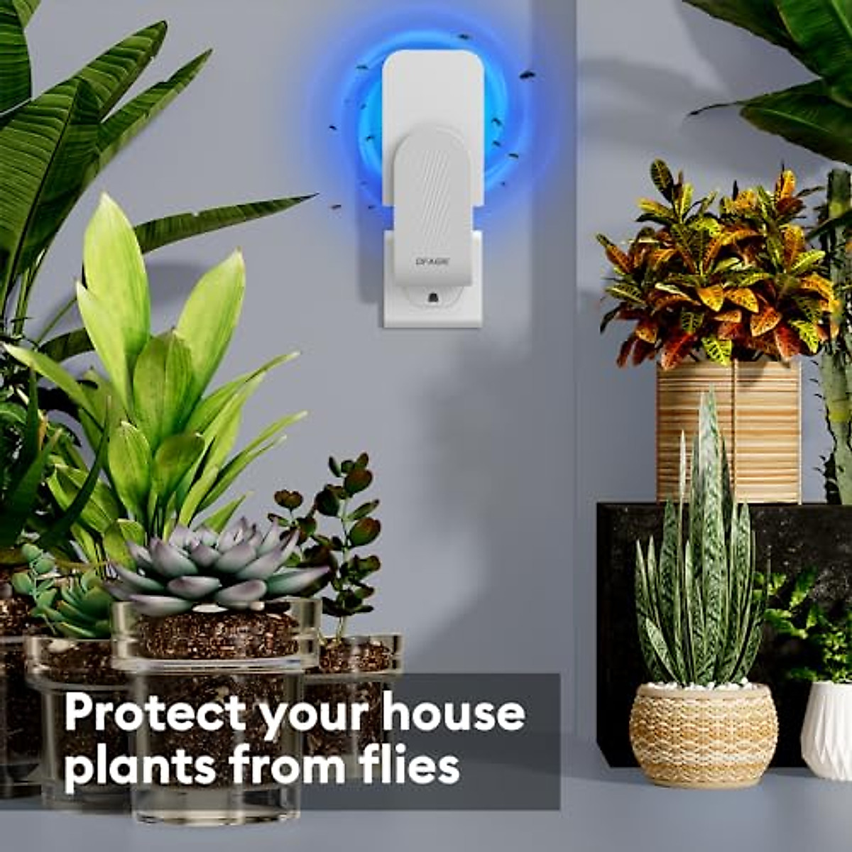 DFAGIE Fly Trap Indoor(1 Device + 5 Glue Cards), Plug-in Flying Insect Trap for Mosquito, Flies, Fruit Flies, Moths, Gnats, Gnat Trap for House Indoor, White