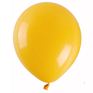 Beaumode Wildflower Floral Balloon Arch Garland kit 164pcs for Girls First Birthday Wild One Little Wildflower Shower Baby in Bloom Summer Graden Bridal Shower Party Decoration (Wildflower)