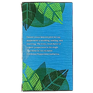 Allegro Tea, Organic Northwest Peppermint Tea Bags, 20 ct