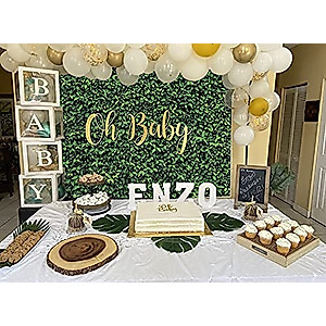 Cenven Oh Baby Green Leaves Wall Backdrop Green Grass Baby Shower Photography Background Baby Newborn Announce Pregnancy Birthday Party Decorations Supplies Photo Studio Props 7x5FT