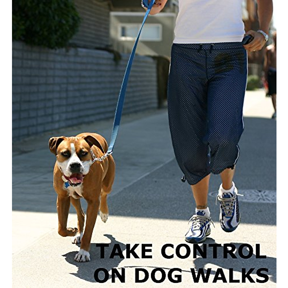 SAFETY-SPORT DOG HORN XL