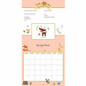 My Life as a Baby: A First-Year Calendar (Woodland Friends)