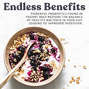 Cultures for Health Bulgarian Yogurt Starter Culture | 2 Packets Dehydrated Heirloom Culture | Make Delicious, Creamy Smoothies, Salad Dressing, Musaka, & More | Gluten Free, Non-GMO Probiotic Yogurt