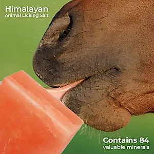 Himalayan Salt Lick Block for Horses, Deer-, Goats, Cattles & Cows | Pack of 2, Pink Salt Licks for Animals, Licking Salt Brick Packed with Minerals
