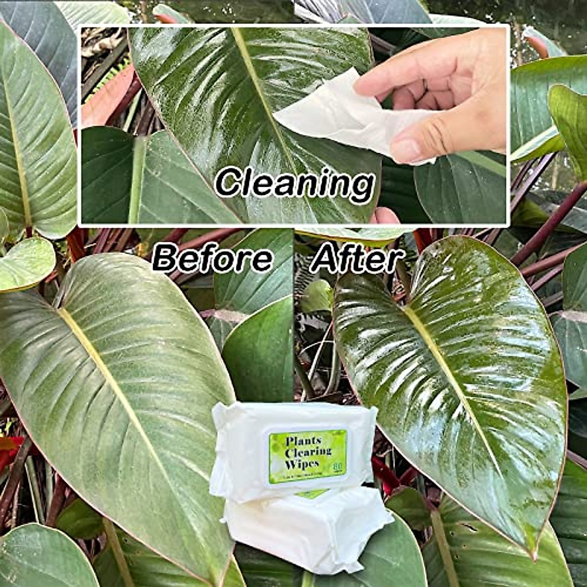 AUSHUCU Plants Cleaning Wipes Weave Unscented Wipes，Clean and Photosynthesis leaf cleaner for House Plants Outdoor Plants(2 Pack/160 Wipes)