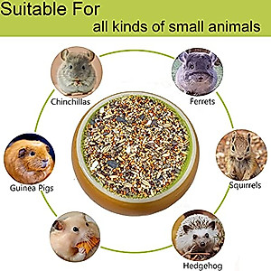 Hamster Bowl, Ceramic Guinea Pig Water Bowl Small Animal Food Dish for Syrian Hamster Rabbit Gerbil Chinchilla Hedgehog Sugar Glider Rat (2 Pcs)