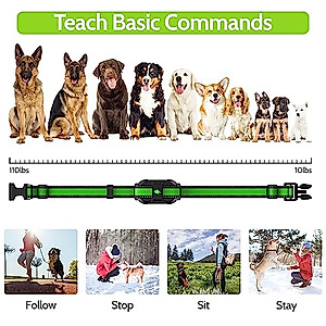 DogStop Dog Training Collar Electric Dog Shock Collar with 4 Training Modes and Waterproof Rechargeable Remote Range 3300Ft for Large Medium Small Dogs (Green)