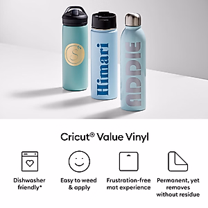 Cricut® Value Permanent Vinyl, Black (12 in x 10 ft)