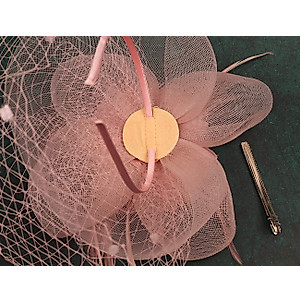 Cizoe Fascinator Hats for Women Tea Party Headband Kentucky Derby Wedding Flower Mesh Veil Fascinator (A-blush pink)
