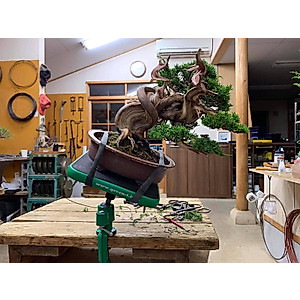 Pollice Verde Green T Mini V - Professional Bonsai Shoin Turntable with clamp