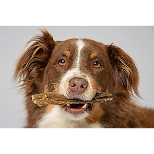 Scout & Zoe's Lamb Green Tripe Dog Treats - All-Natural, Omega-3 Boosting and Digestive-Enzyme Rich Green Tripe for Dogs Dental Health & Immune Support - Made in The USA, 3oz.