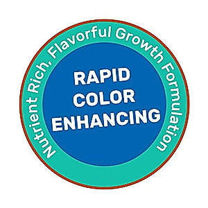 Hikari Cichlid Gold Floating Baby Pellets for Pets, 8.8-Ounce