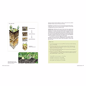 Practical Permaculture: for Home Landscapes, Your Community, and the Whole Earth