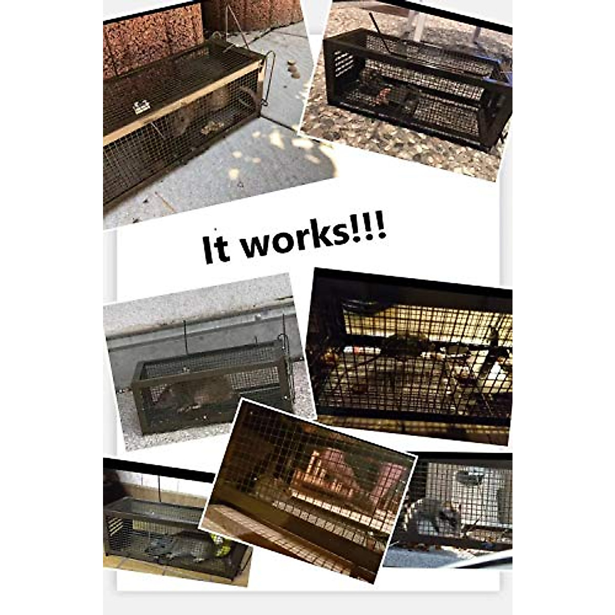 RatzFatz Mouse Trap Humane Live Cage, Catch and Release Mice, Rats, Chipmunks, Small Squirrels and Other Rodents, Sensitivity Adjustable, Pedal Design