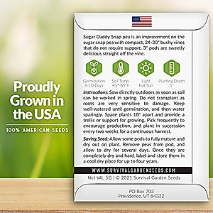 Survival Garden Seeds - Sugar Daddy Snap Pea Seed for Planting - Packet with Instructions to Plant and Grow in Delicious Pea Pods Your Home Vegetable Garden - Non-GMO Heirloom Variety