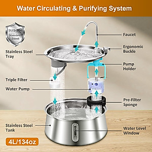 Cat Water Fountain,4L Automatic Stainless Steel Pet Fountain with LED Light Water Level Window,Dog Water Dispenser for Multiple Pets Drinking