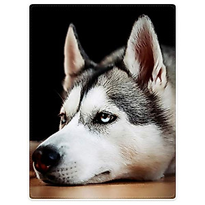 SXCHEN Blankets Plush Sofa Bed Throw Blanket Dashed Husky Dog 60"x80"