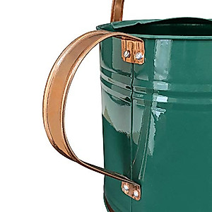 Metal Watering Can for Outdoor and Indoor Plants, Watering Can Decor, 1 Gallon (1 Gallon Green2)