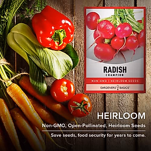 Radish Seeds for Planting - Champion Variety Heirloom, Non-GMO Vegetable Seed - 2 Grams of Seeds Great for Outdoor Spring, Winter and Fall Gardening by Gardeners Basics