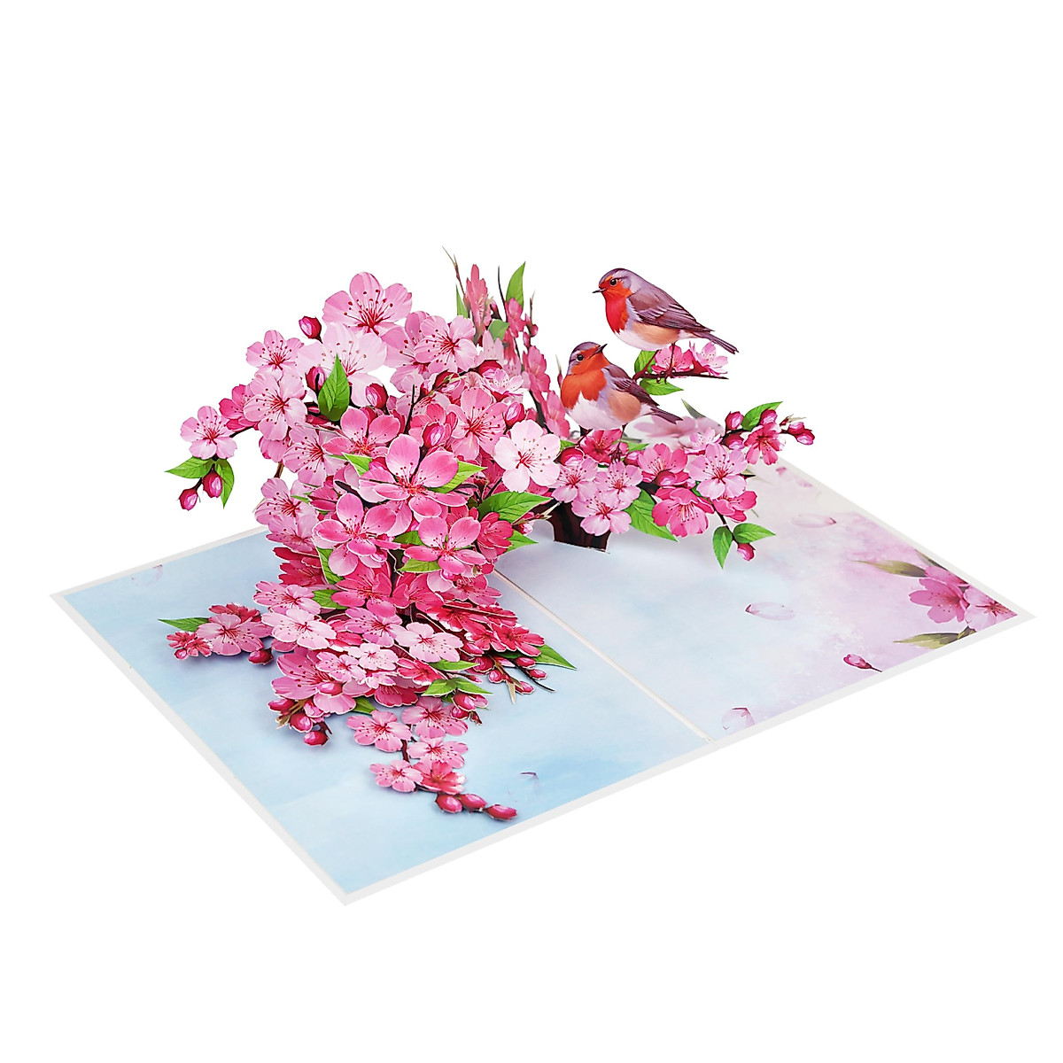 Mothers Day Card, Pop Up Valentines Day Birthday Anniversary Cards, 3D Get Well Soon Thank You Card (Size 6x8 In – Cherry Blossom Robins Couple).