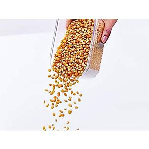 Joseph Joseph CupboardStore Airtight Easy Pour Food Container 3M Tape Undershelf Storage Hanger, 3-Piece Set - Large, Opal