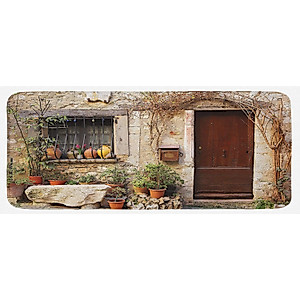 Lunarable Shutters Kitchen Mat, Flowerpot Plants Front Yard French Hilltop Village Saint-Paul De Vence Heritage, Plush Decorative Kitchen Mat with Non Slip Backing, 47" X 19", Beige Green