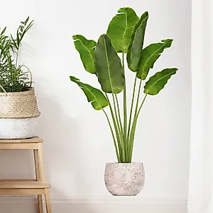 VOSAREA Green Plant Wall Decals 3D Potted Plant Wall Stickers Removable Bonsai Decals DIY Peel and Stick Art Murals for Bedroom Livingroom Office