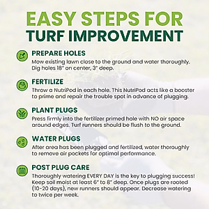 Cannot Ship to California/AZ SodPods® St Augustine Floratam Grass Plugs (32-Count) Natural, Affordable Lawn Improvement