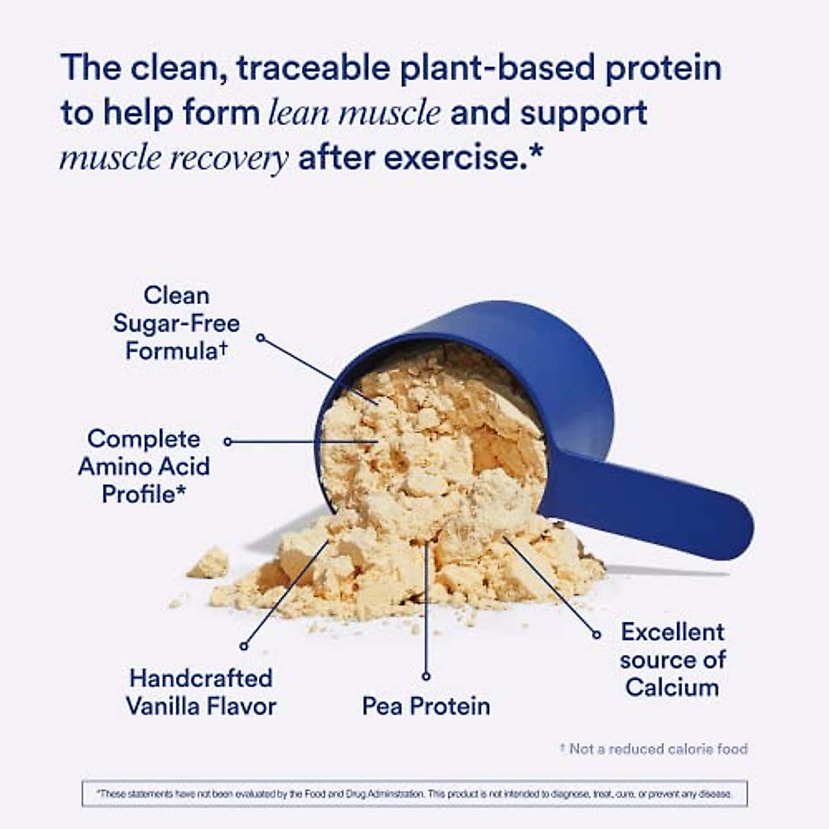 Ritual 50 and Over Vegan Plant Based Protein Powder with BCAA: 20g Organic Pea Protein from Regenerative Farms in USA, Hand-Crafted Vanilla, 3rd Party Tested, Gluten-Free, Dairy-Free, Non-GMO, 1 Lbs